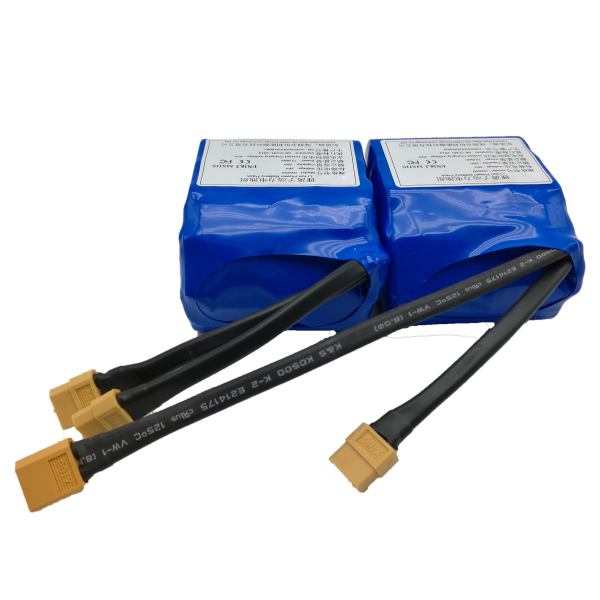 Electric Hoverboard Battery 36V2Ah Lithium-ion Battery Pack 10S1P_Li ...